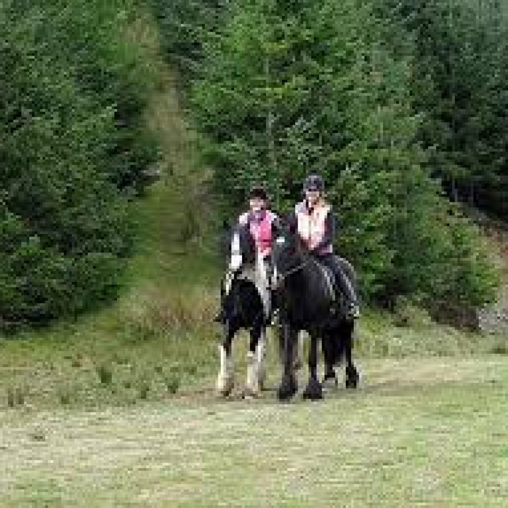 Activities & Adventures in Derbyshire – Packhorse Farm Camp Site